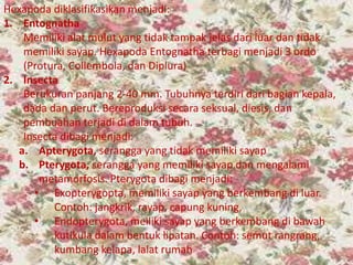 BIOLOGI SMA KELAS 10 ANIMALIA Arthropoda | PPTX