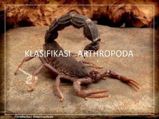 BIOLOGI SMA KELAS 10 ANIMALIA Arthropoda | PPTX