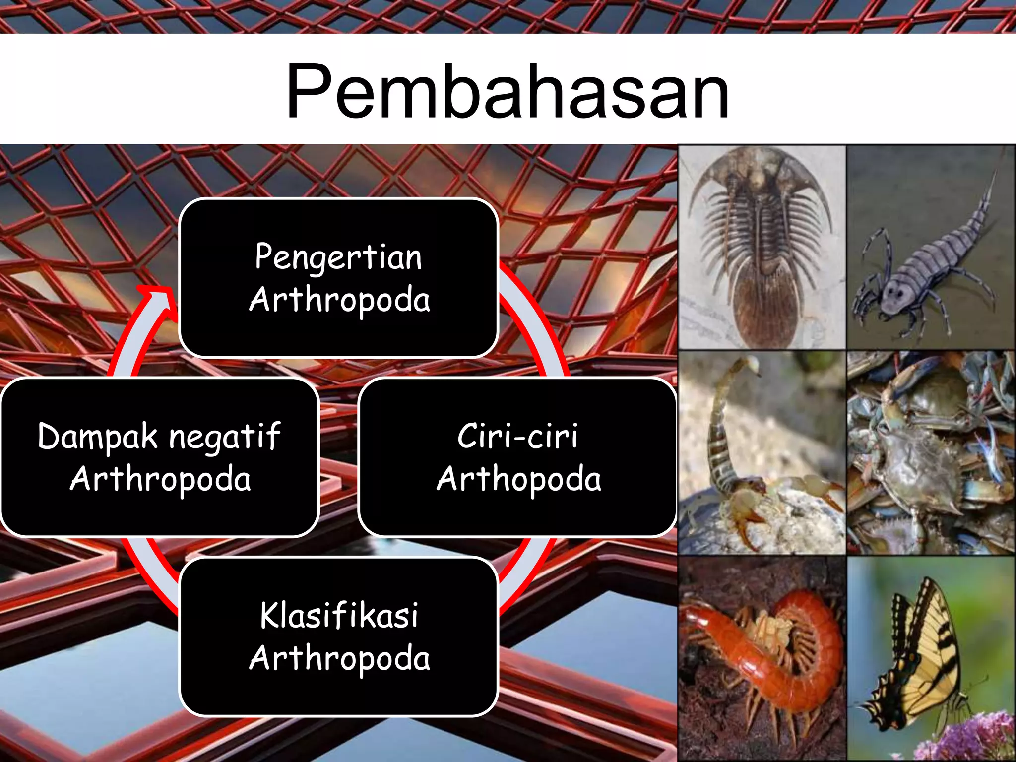 Parasit Arthropoda | PPTX