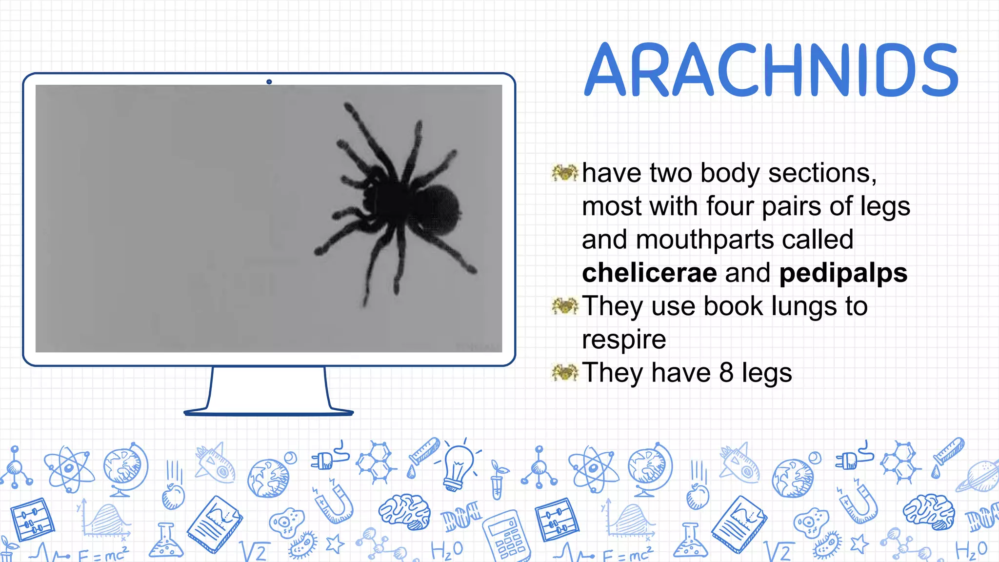 PHYLUM ARTHROPODA | PPT
