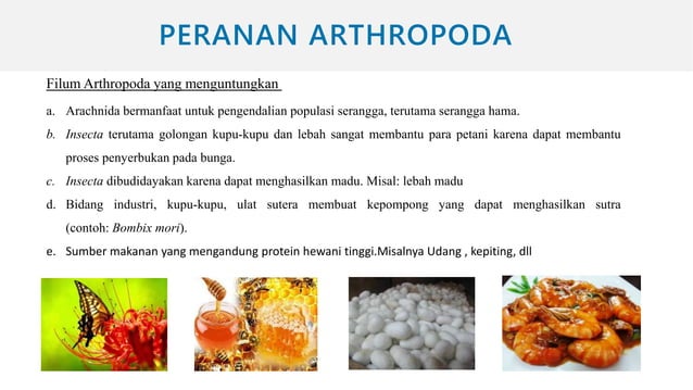 Sistematika Hewan - Arthropoda | PPTX