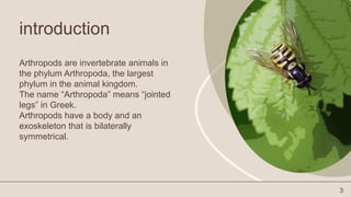 Arthropoda.pptx six legged insects that is hexapods with chitinous ...