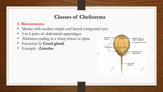 Arthropoda (largest group of animal Kingdom) | PPT