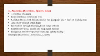 Arthropoda (largest group of animal Kingdom) | PPT