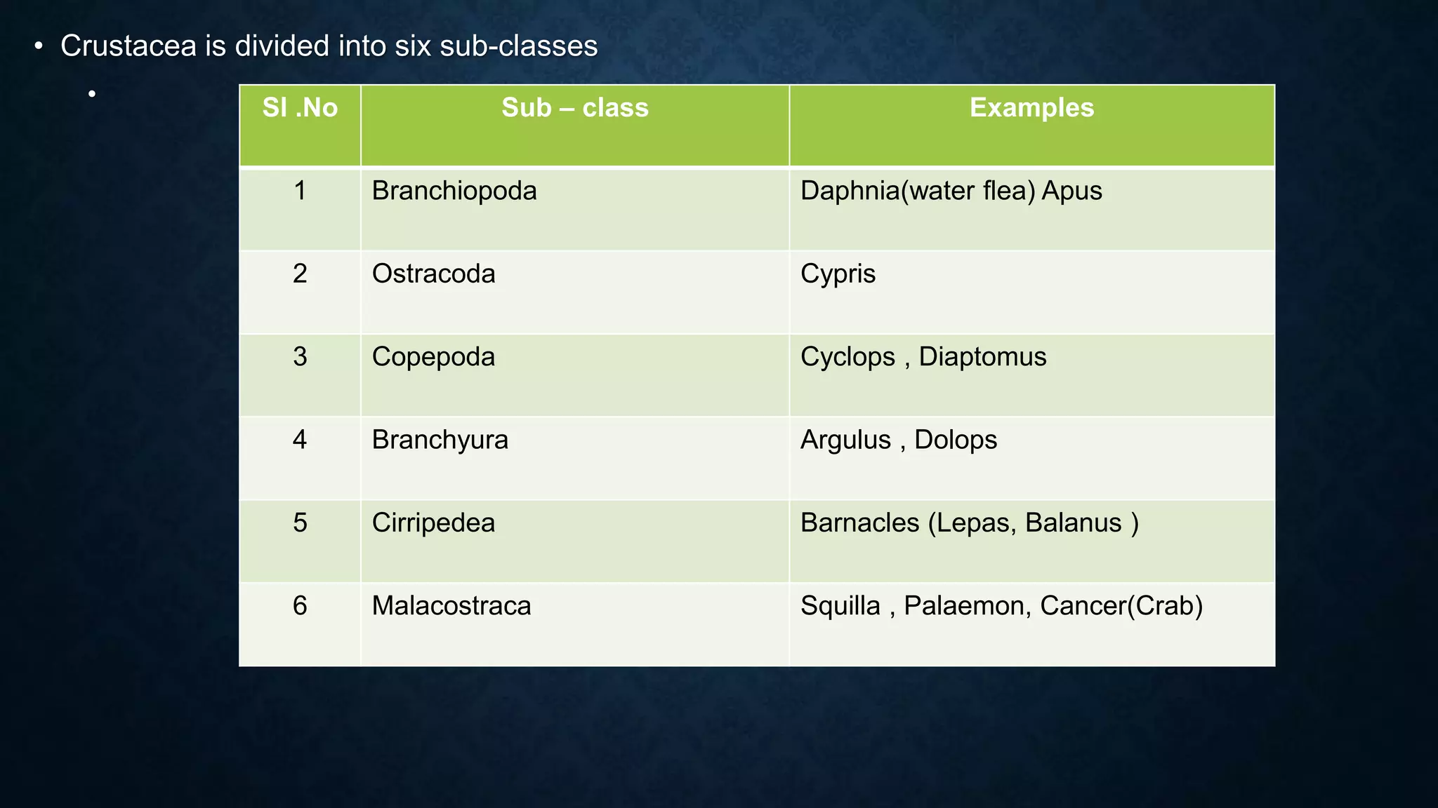 Arthropoda characters & classification | PPTX