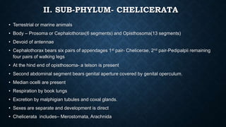 Arthropoda characters & classification | PPTX