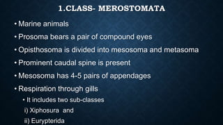 Arthropoda characters & classification | PPTX