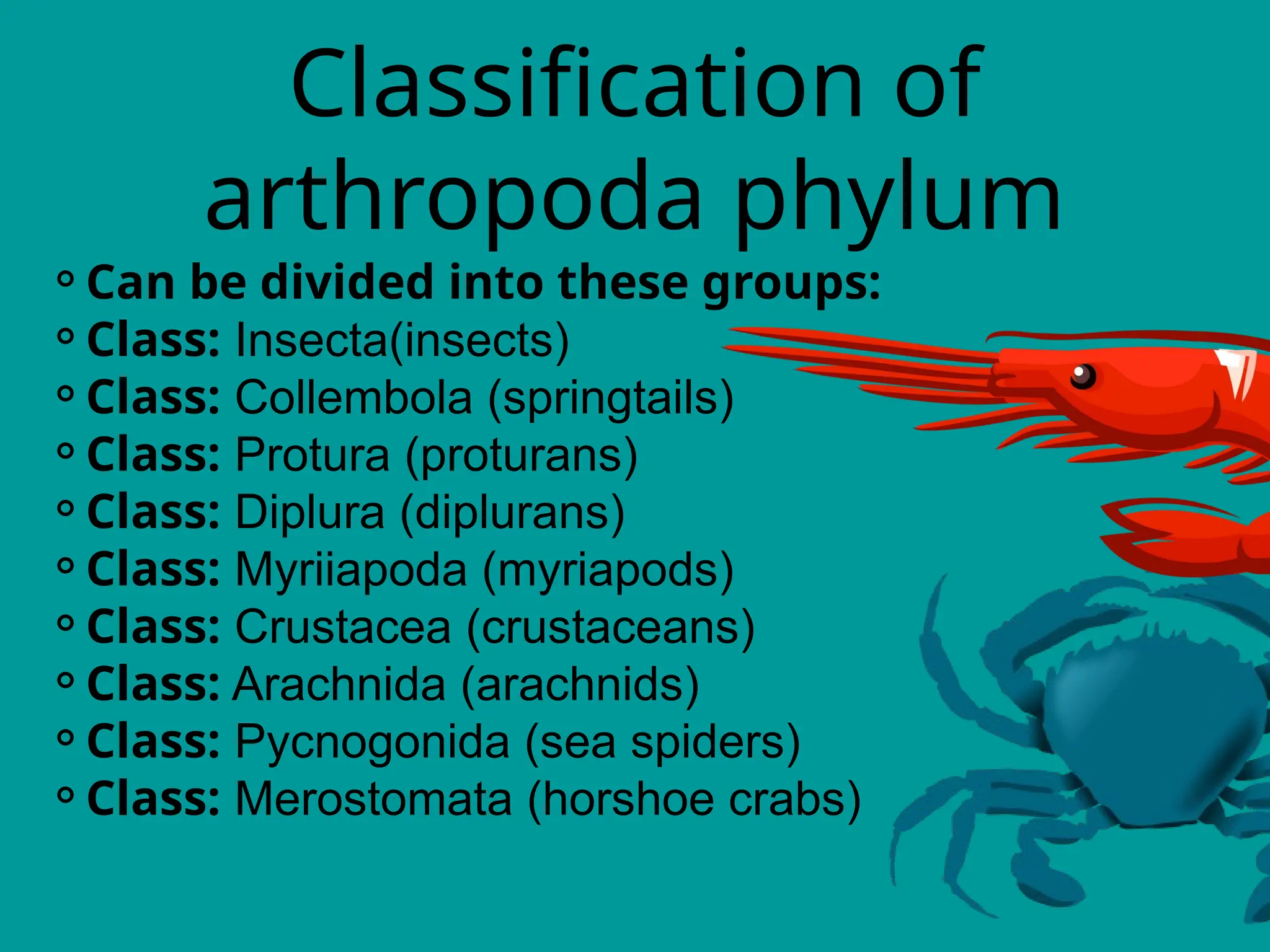phylun arthropoda class crustacea for high school | PPT