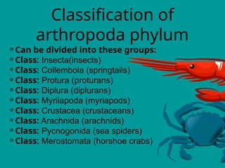 phylun arthropoda class crustacea for high school | PPT