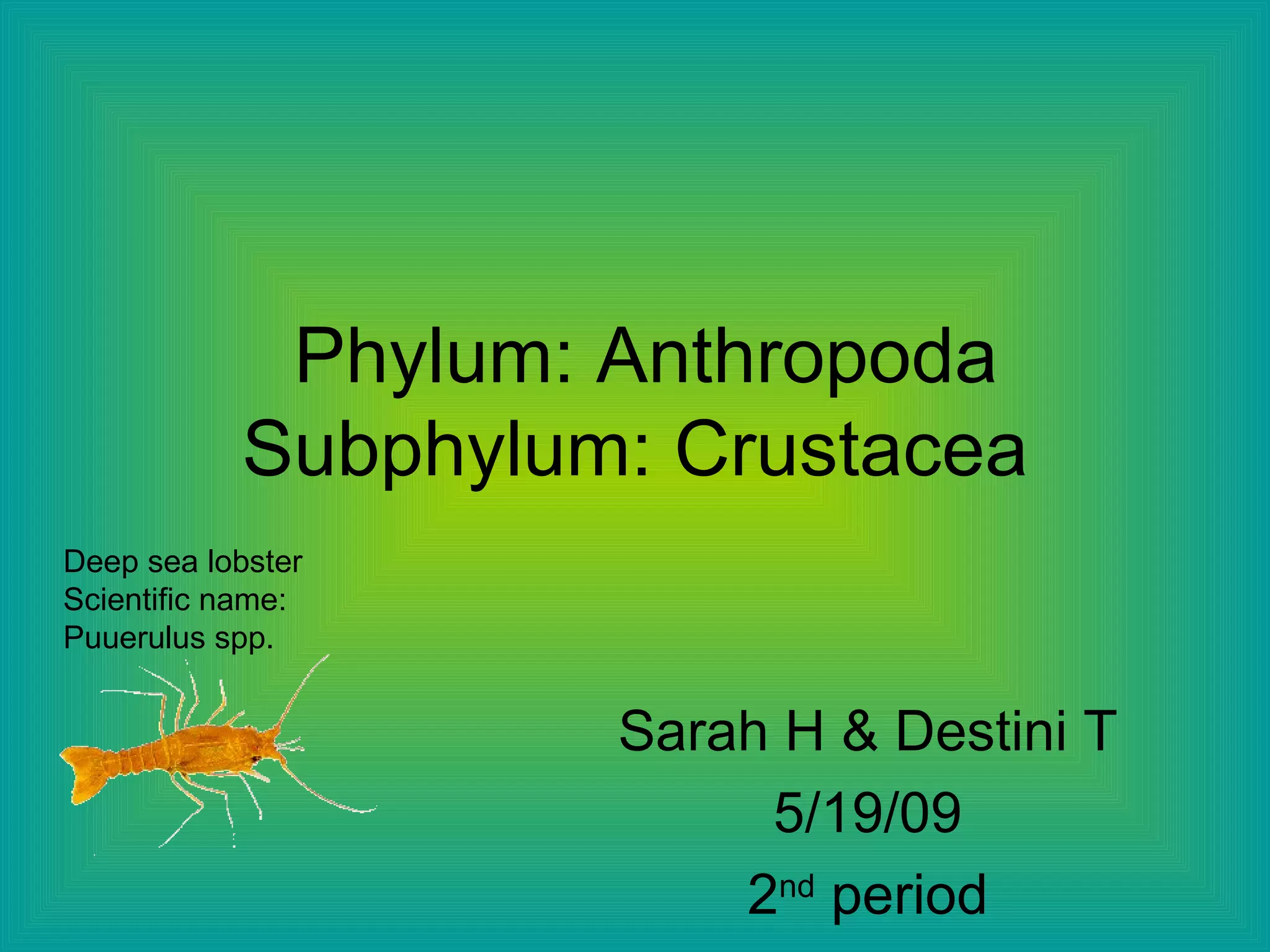 Arthropoda Crustacea | PPT