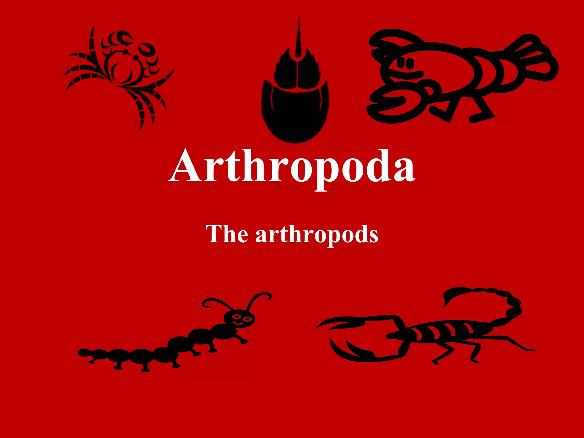 Arthropoda & echinodermata notes | PPT
