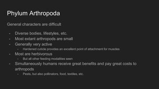 Arthropoda i | PPT