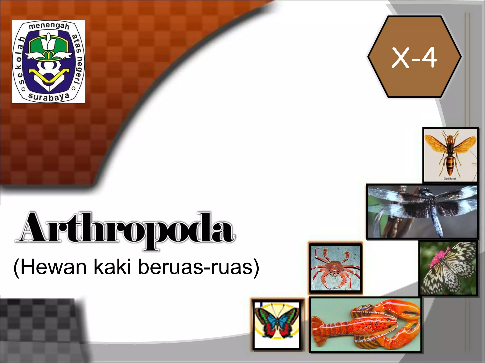 PPT tentang Arthropoda Biologi SMA | PPT