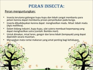 PPT tentang Arthropoda Biologi SMA | PPT