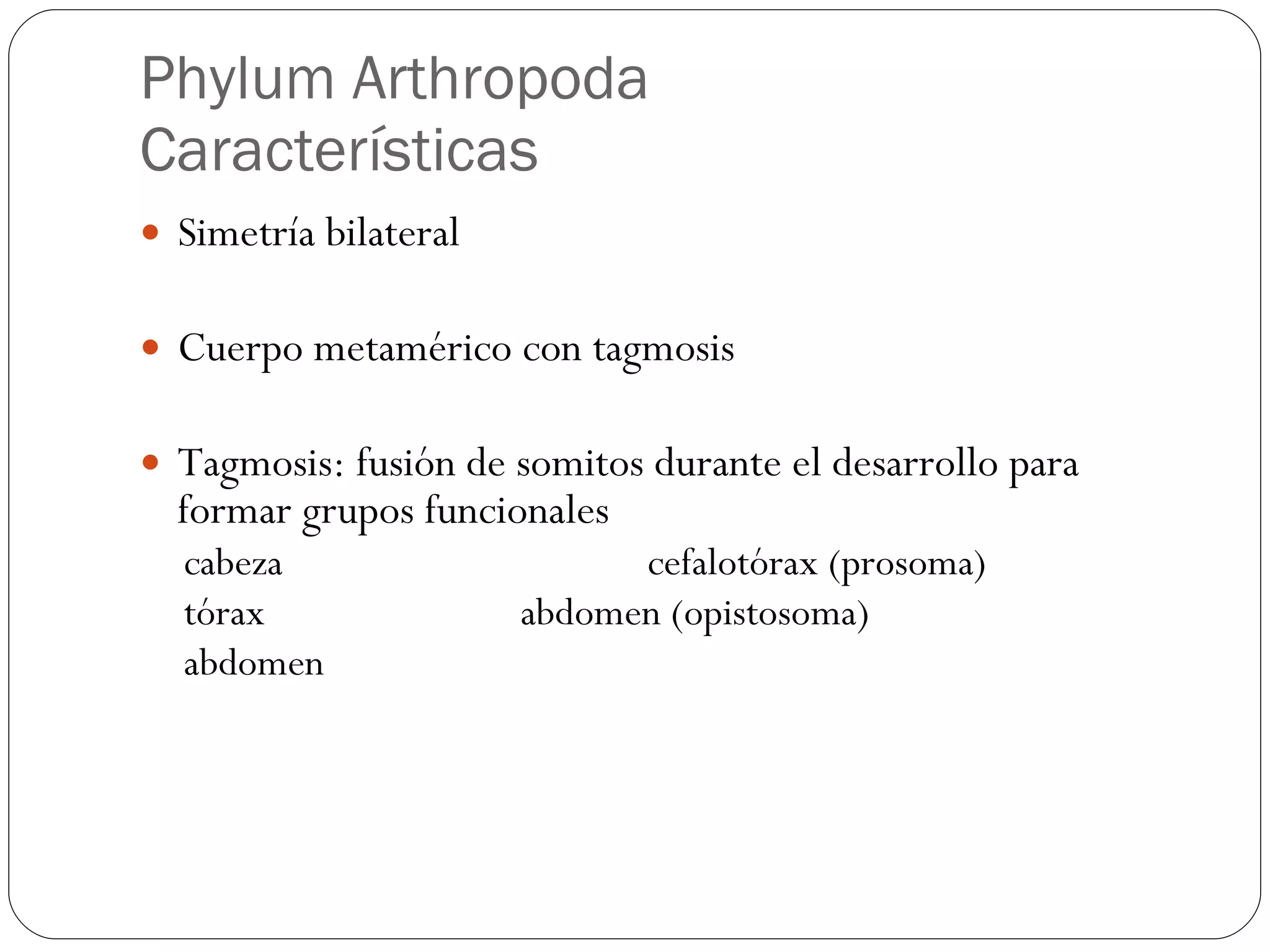 Phylum Arthropoda | PPT