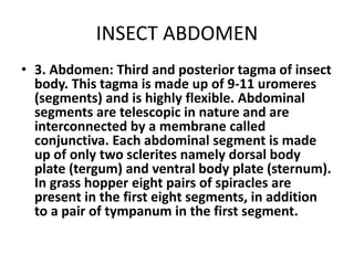 ARTHROPODA MAHENDRA PAL12.pptx