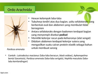 hewan invertebrata kelas Arthropoda adalah hewan berbuku buku | PPTX