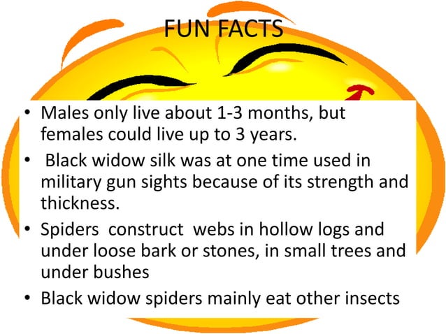 Arthropod assignment spider!!!! | PPT
