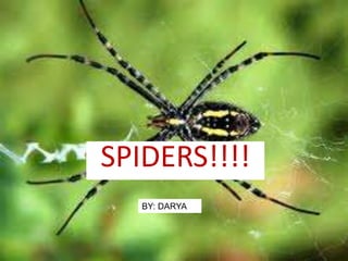 Arthropod assignment spider!!!! | PPT