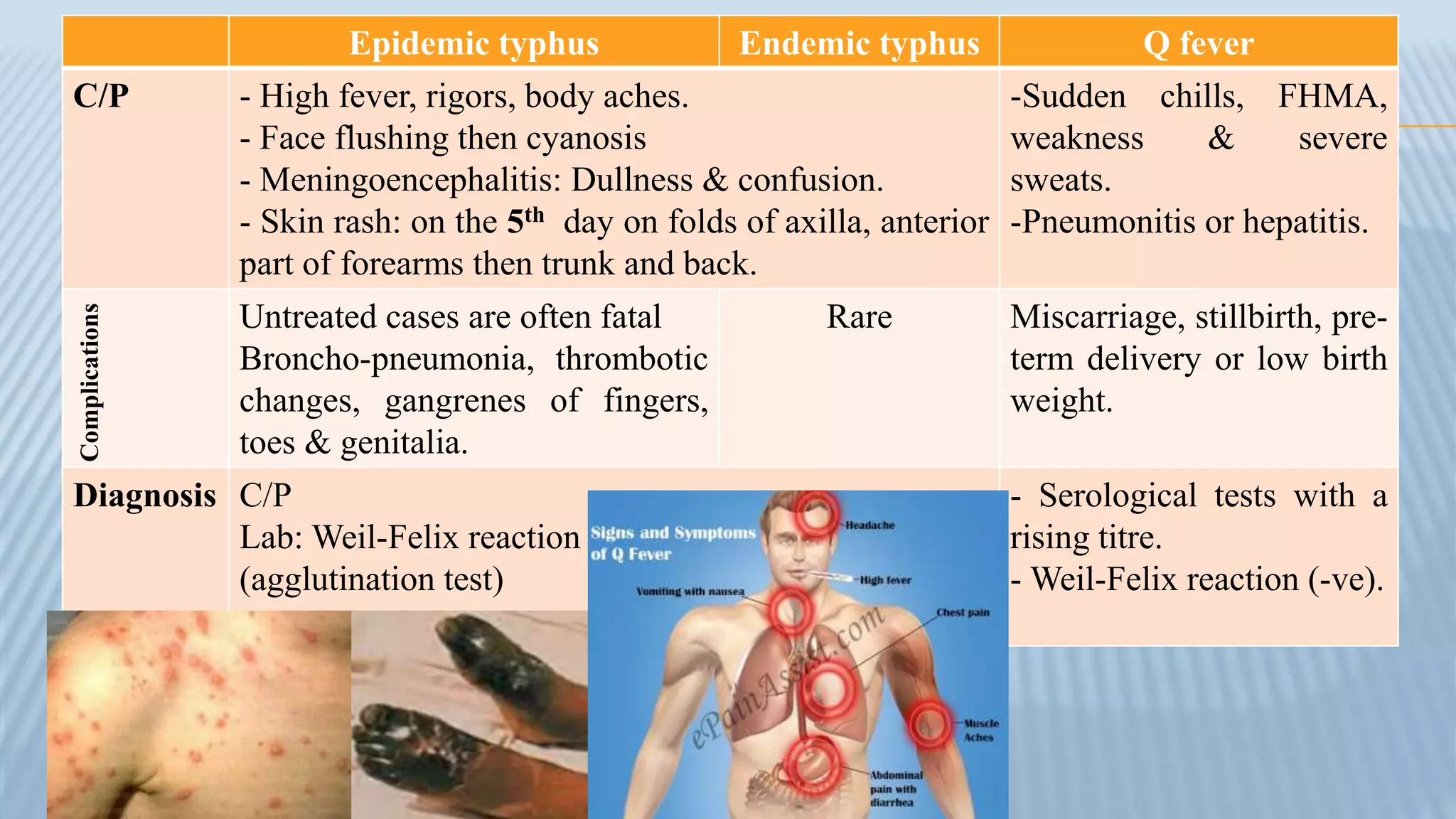 Arthropod borne part 2 | PPTX