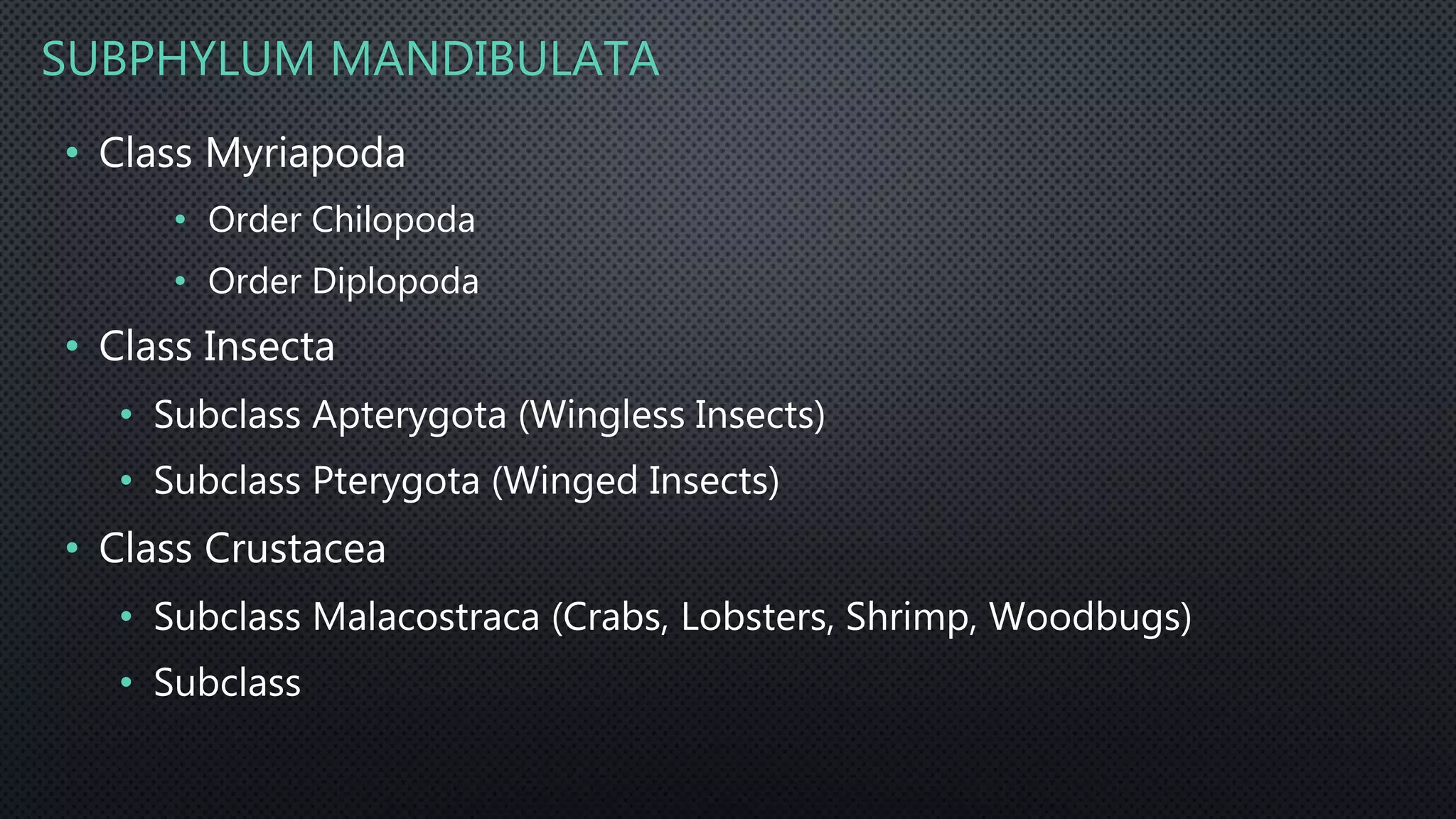Arthropod classification | PPTX