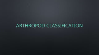Arthropod classification | PPTX