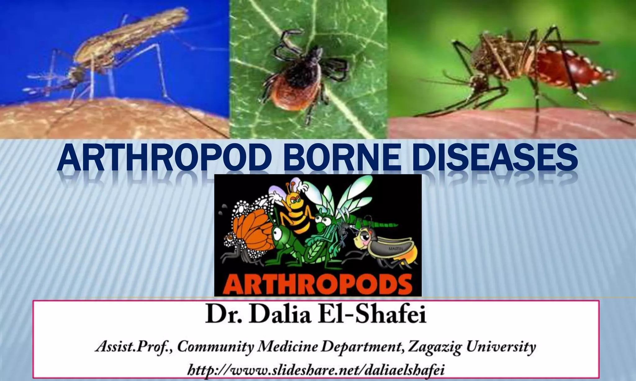 Arthropode infection | PPTX