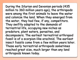 Arthropods | PPTX