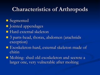 Arthropods Notes | PPT