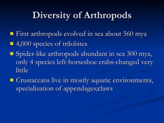 Arthropods Notes | PPT