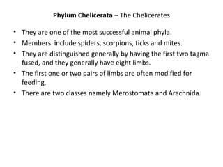 Arthropods: An Introduction for Beginners | PPT | Zoos & Aquariums ...