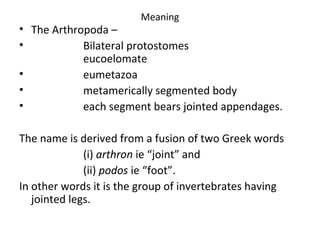 Arthropods: An Introduction for Beginners | PPT | Zoos & Aquariums ...