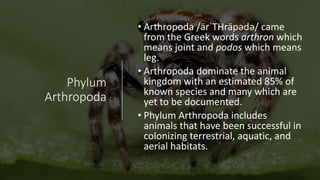 Arthropods | PPTX