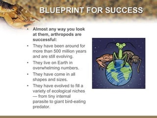 Phylum Arthropoda Power-point Presentation Slides | PPTX