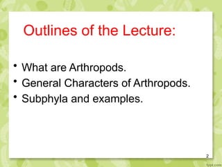 Arthropods are a group of invetebrates.pptx