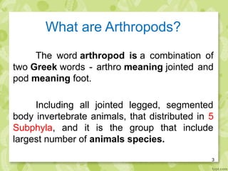 Arthropods are a group of invetebrates.pptx