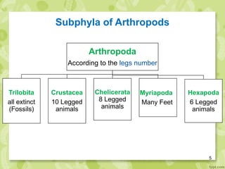 Arthropods are a group of invetebrates.pptx