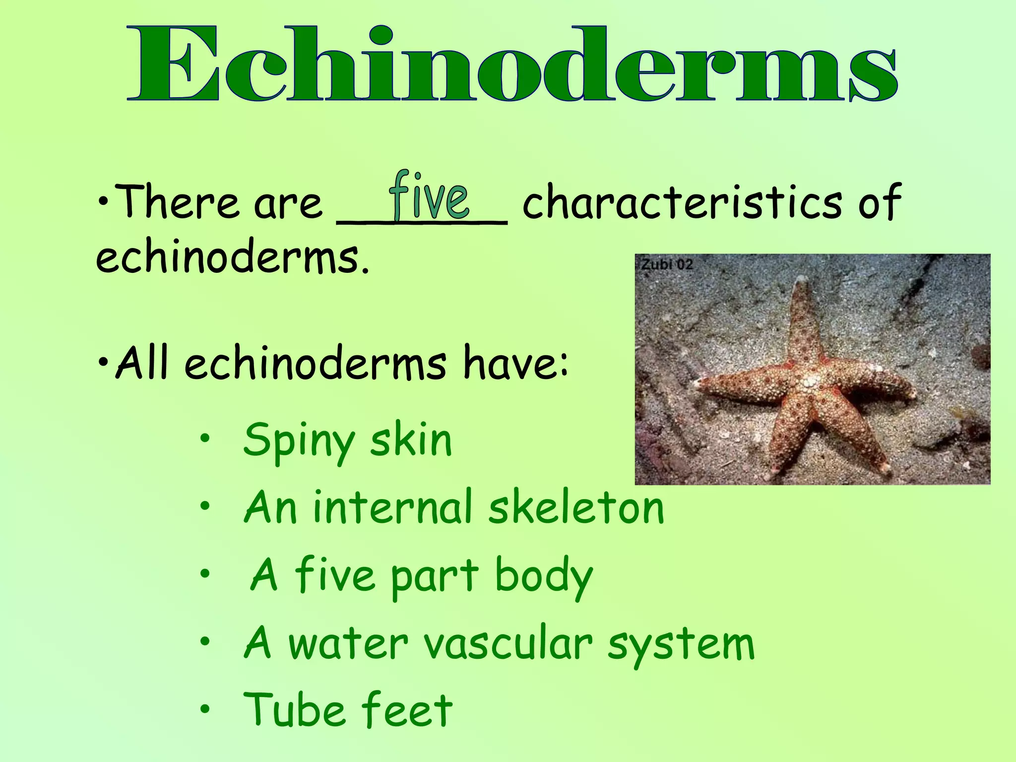 Arthropods and echinoderms 2011 | PDF