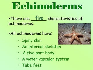 Arthropods and echinoderms 2011 | PPT