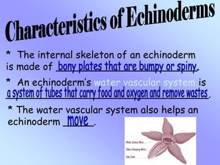 Arthropods and echinoderms 2011 | PPT