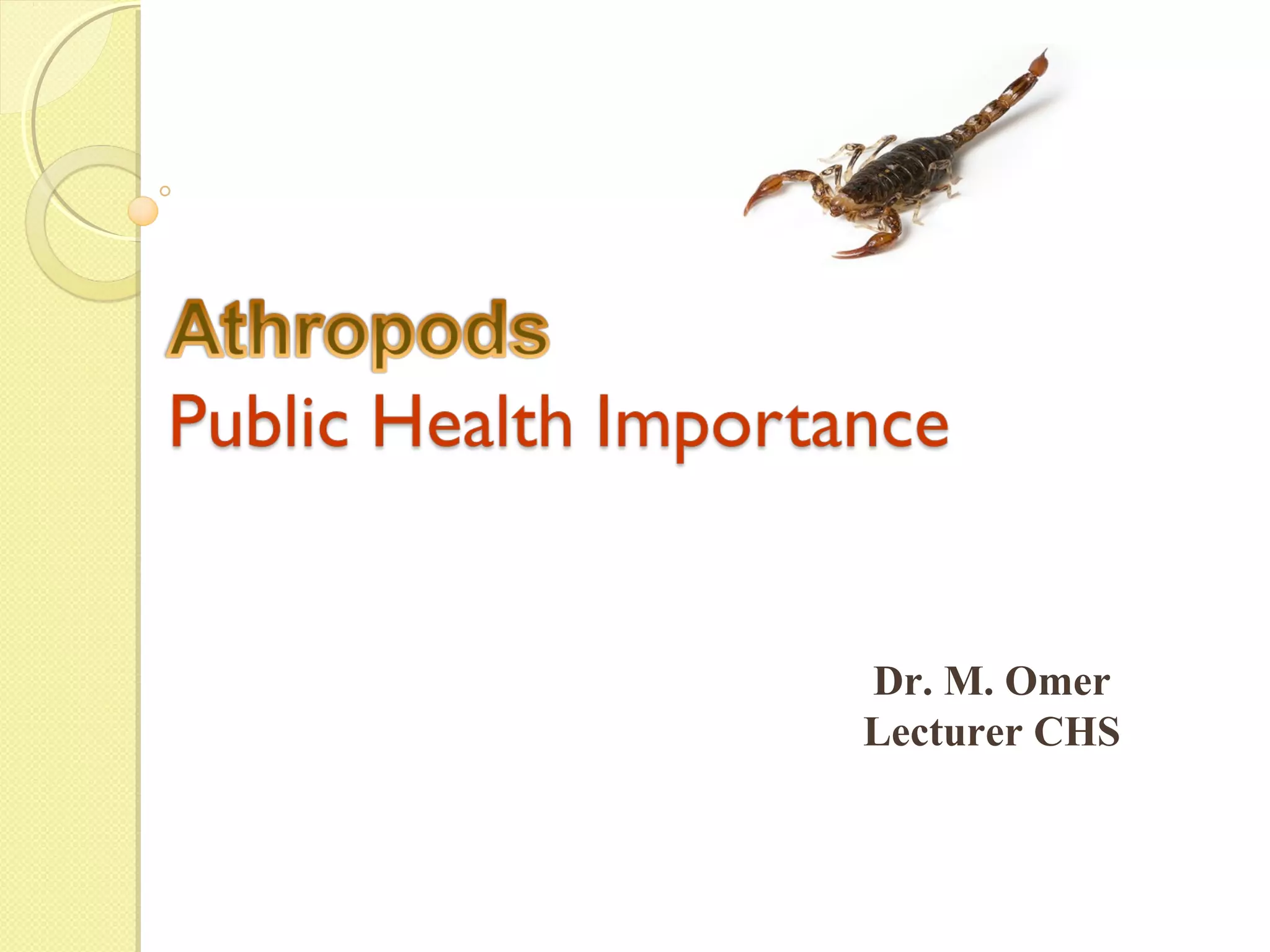 Arthropods | PPT