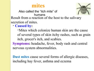Arthropods | PPT | Infectious Diseases | Diseases and Conditions