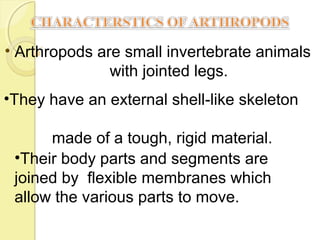 Arthropods | PPT
