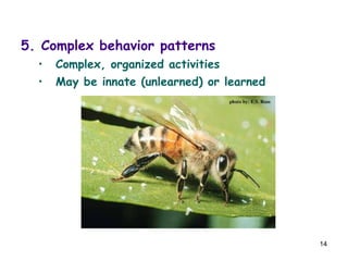 Arthropods_complete classification types .ppt