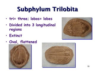 Arthropods_complete classification types .ppt