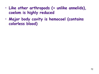 Arthropods_complete classification types .ppt