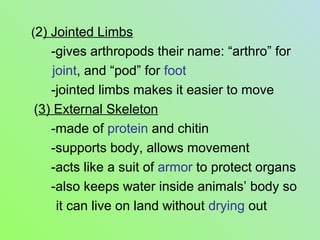 Arthropods & echinoderms | PPT