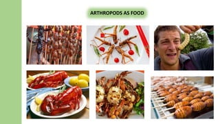 Arthropods (entomology) | PPTX