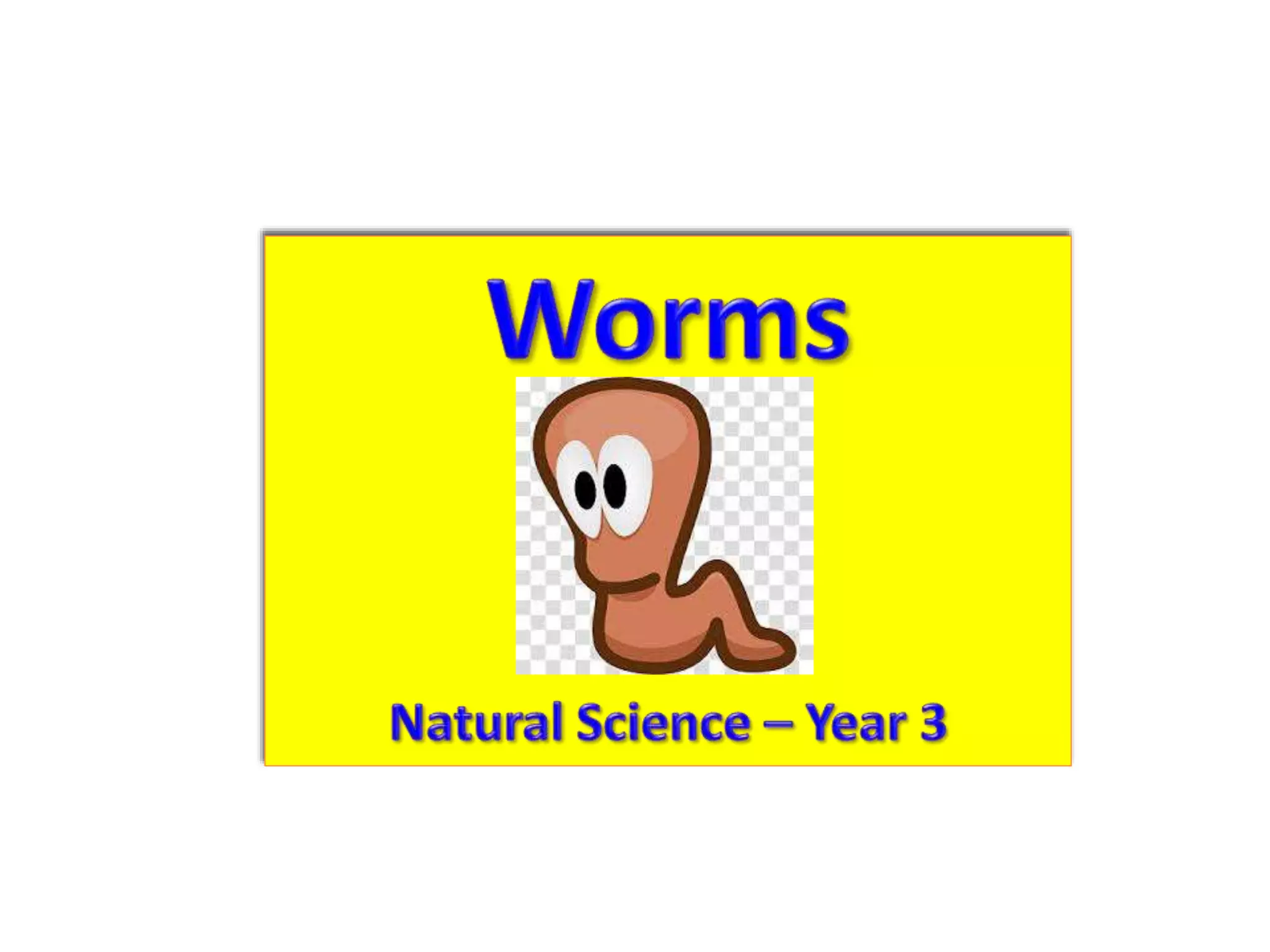 Arthropods, molluscs and worms | PPT