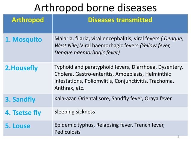 Arthropods of medical importance | PDF